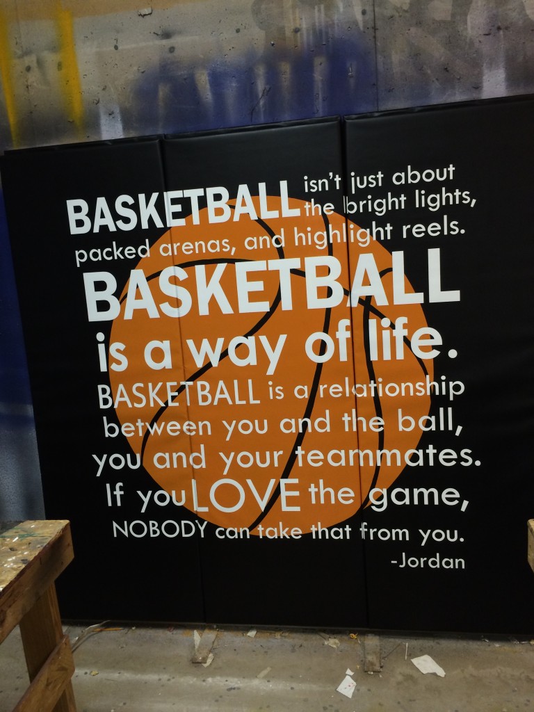 LISCO Sports | Windscreens, Baseball Windscreens, Windscreen Repairs ...